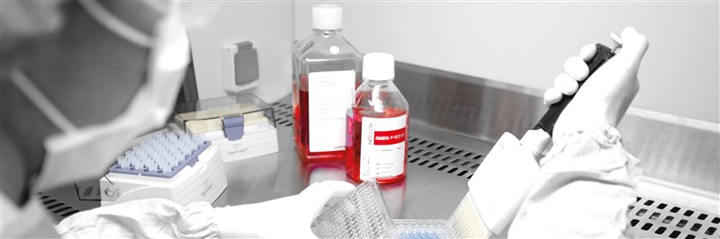 CinnaGen: Research and Development